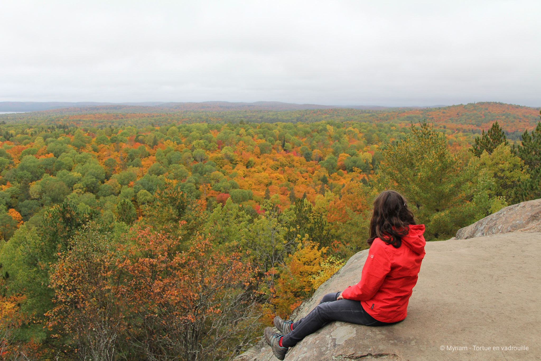 L’automne magique au parc provincial d’Algonquin – Tortue en vadrouille